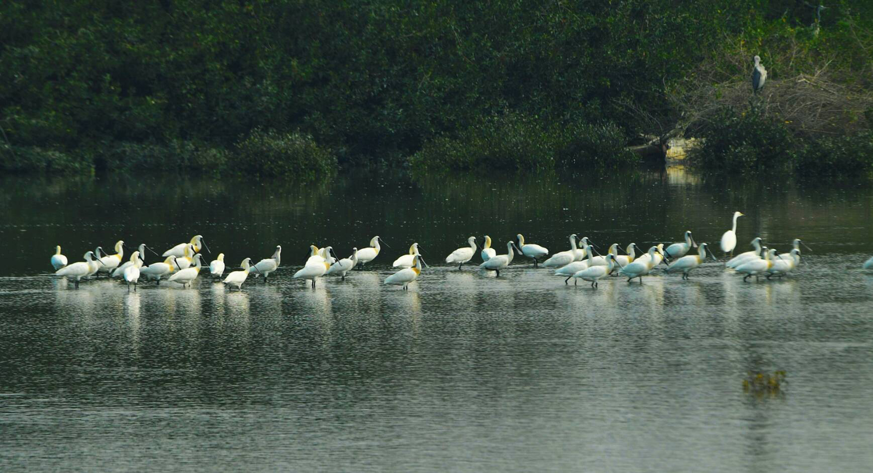 Environmental consciousness - Focus Taiwan