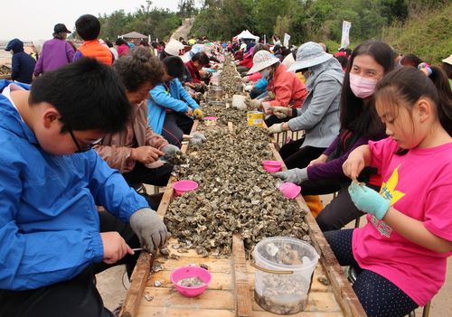 Oyster ritual - Focus Taiwan