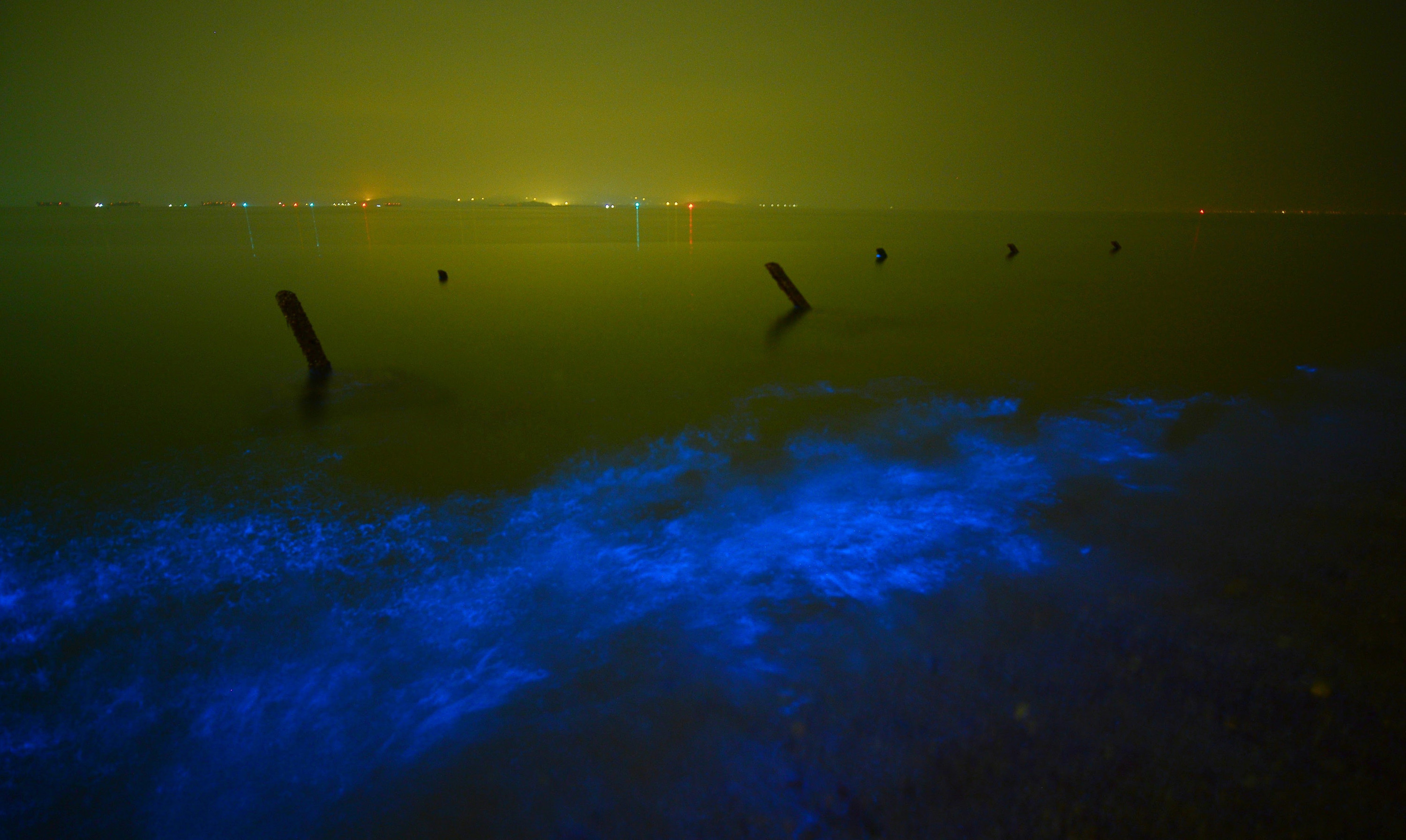 'Blue tears' in Kinmen - Focus Taiwan