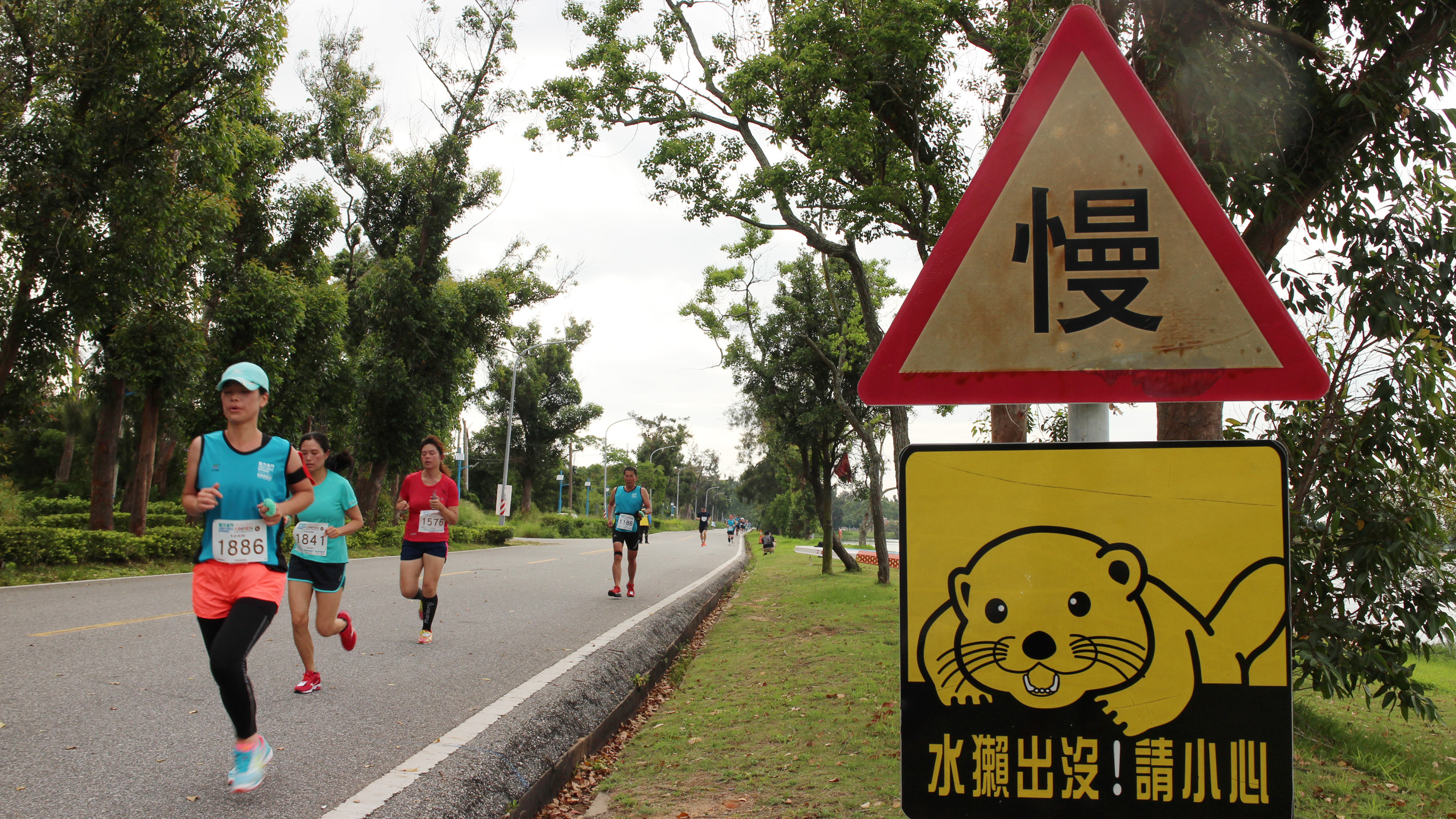 Kinmen marathon - Focus Taiwan