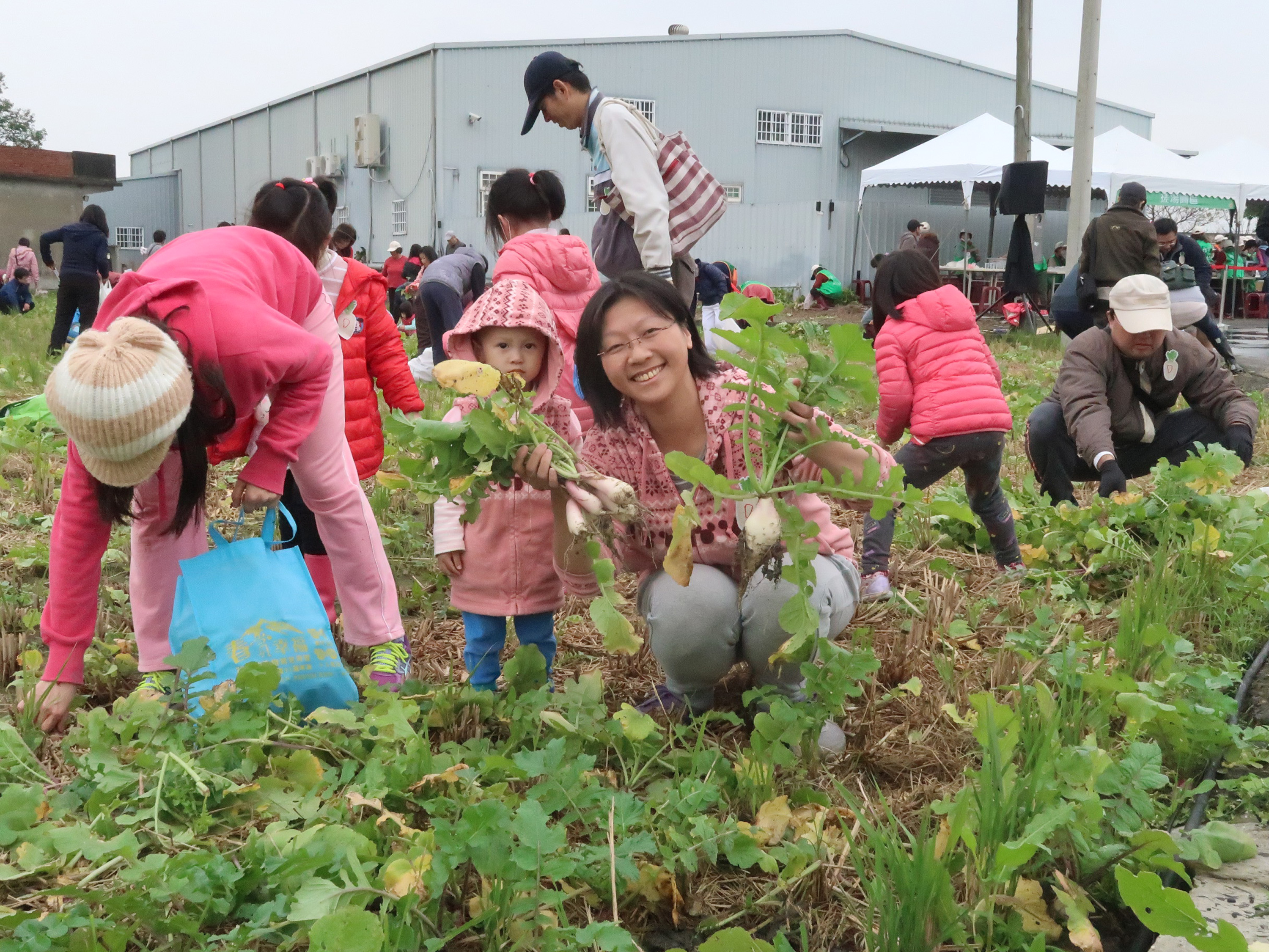Turnip festival - Focus Taiwan