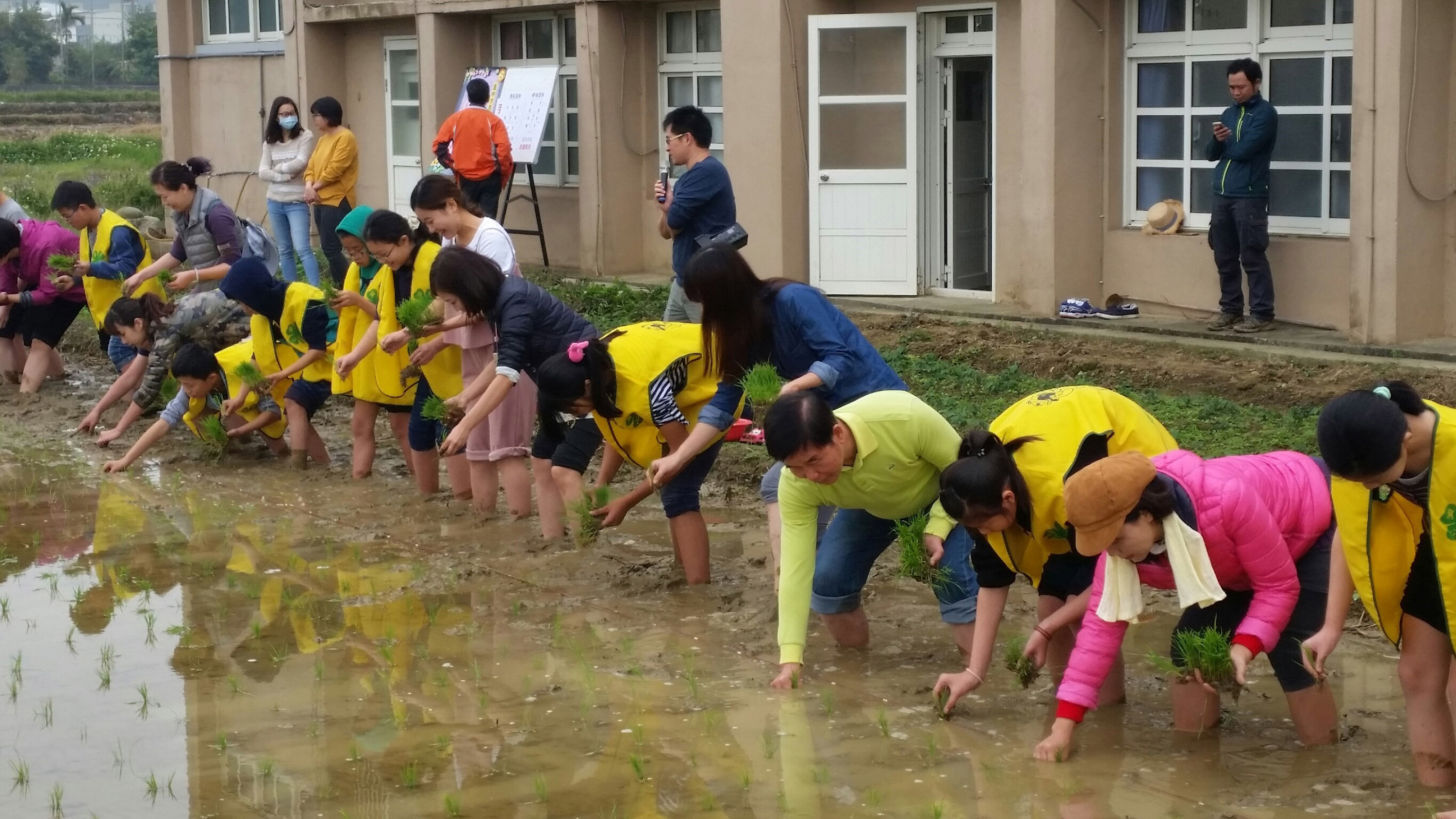 Learning rice farming - Focus Taiwan