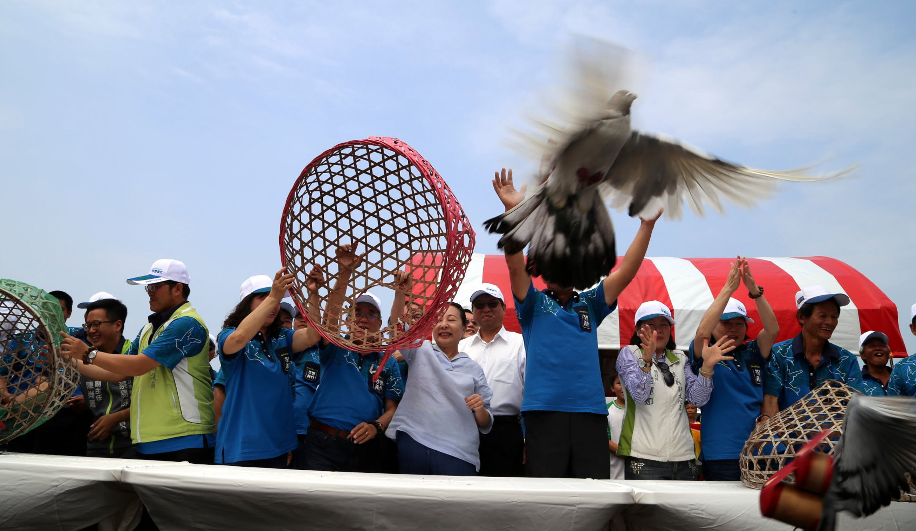 Pigeon festival in Chiayi - Focus Taiwan