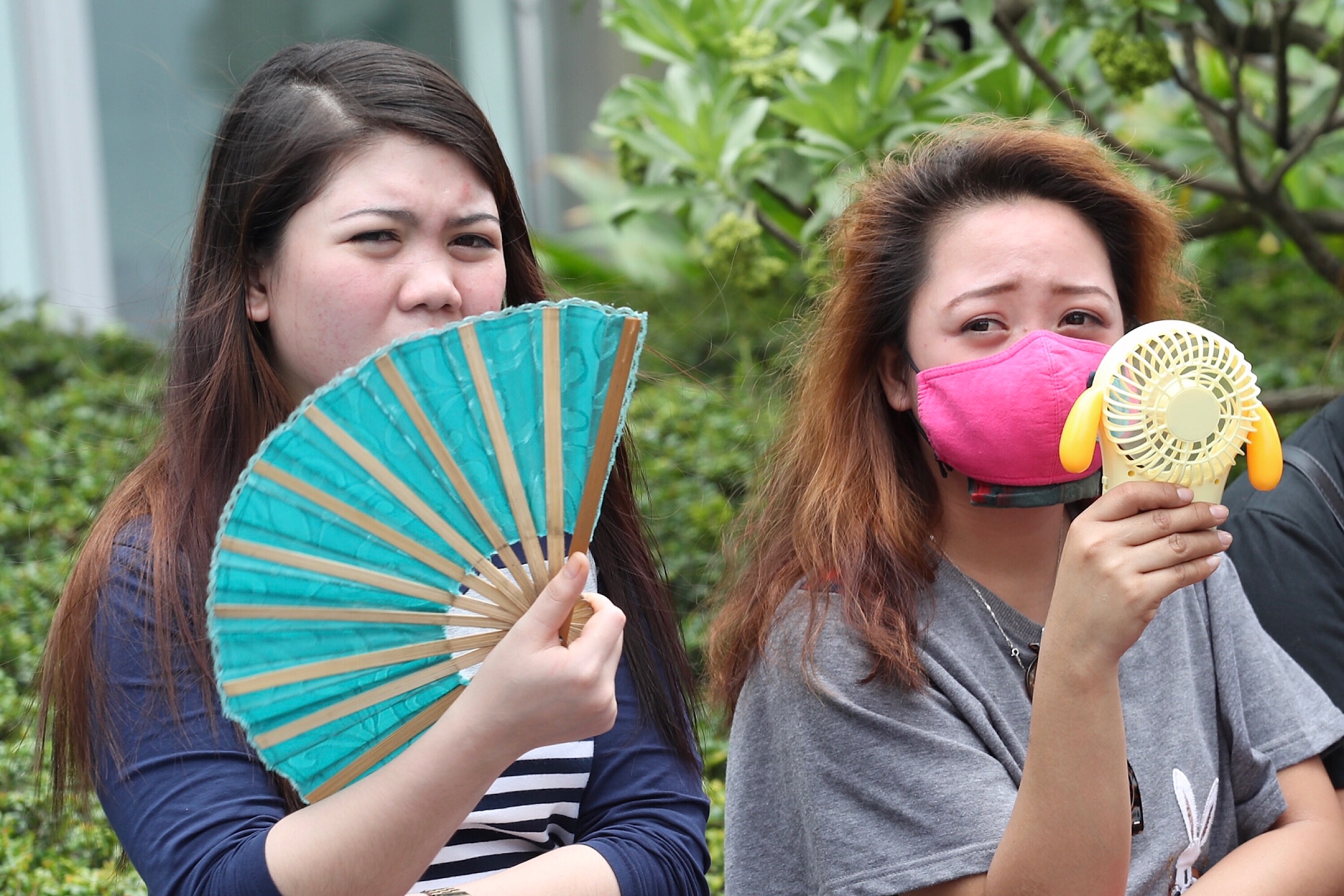Handheld fans - Focus Taiwan