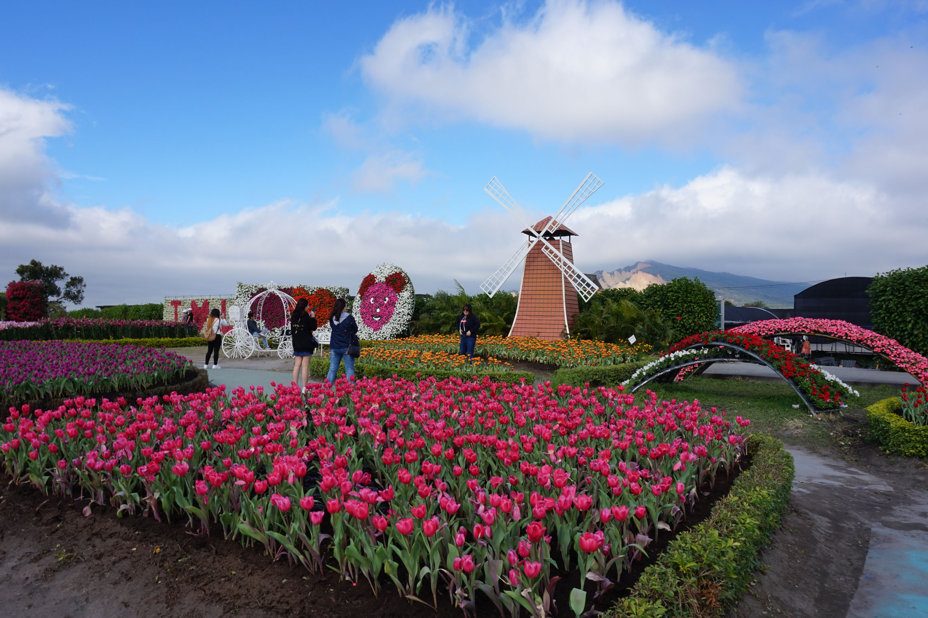Tulip splendor - Focus Taiwan