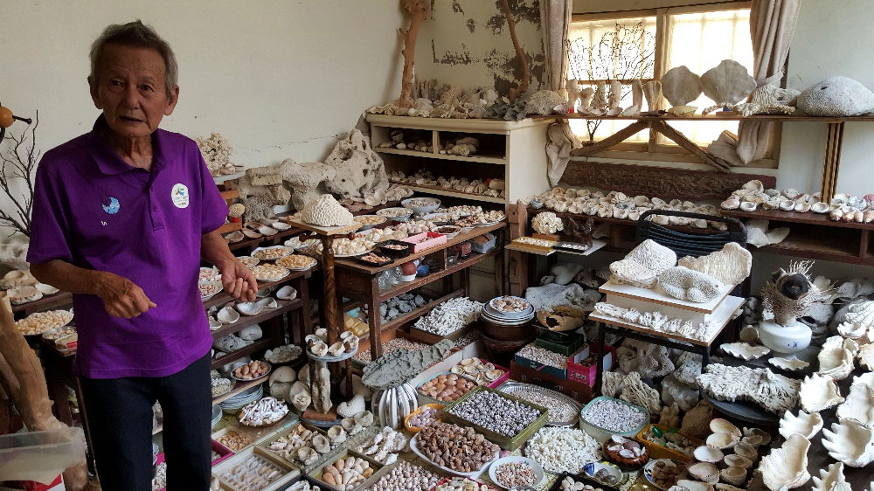 Shell expert - Focus Taiwan