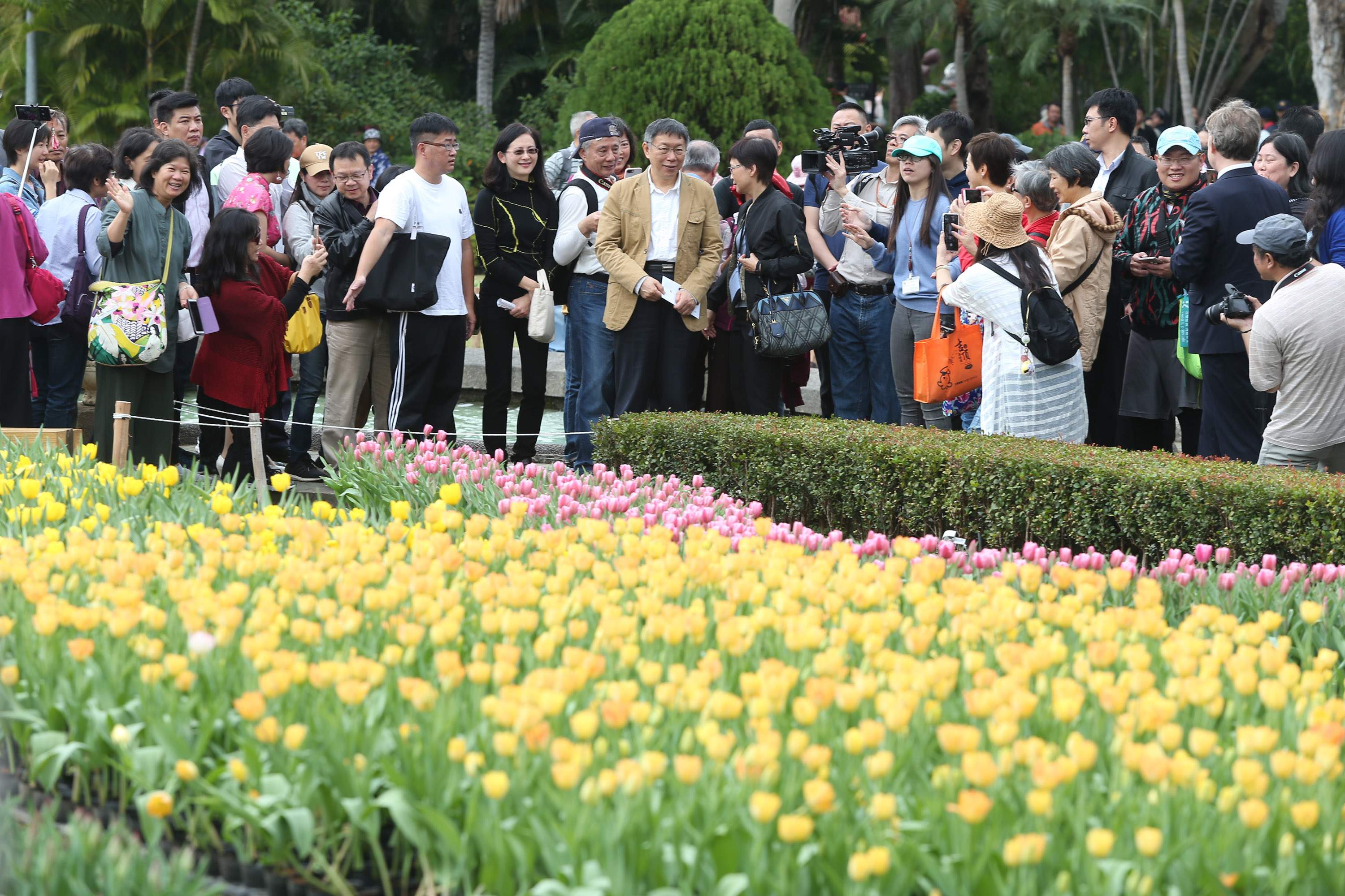 Tulip show - Focus Taiwan