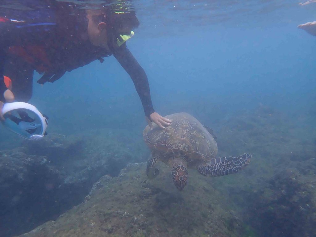 Animal conservation - Focus Taiwan