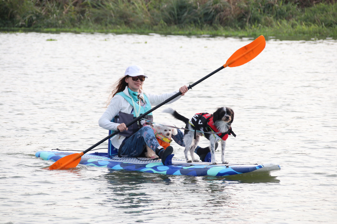 Paddle with pets - Focus Taiwan