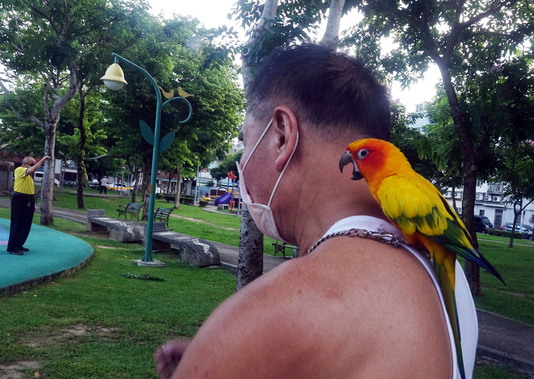 Shoulder perch - Focus Taiwan