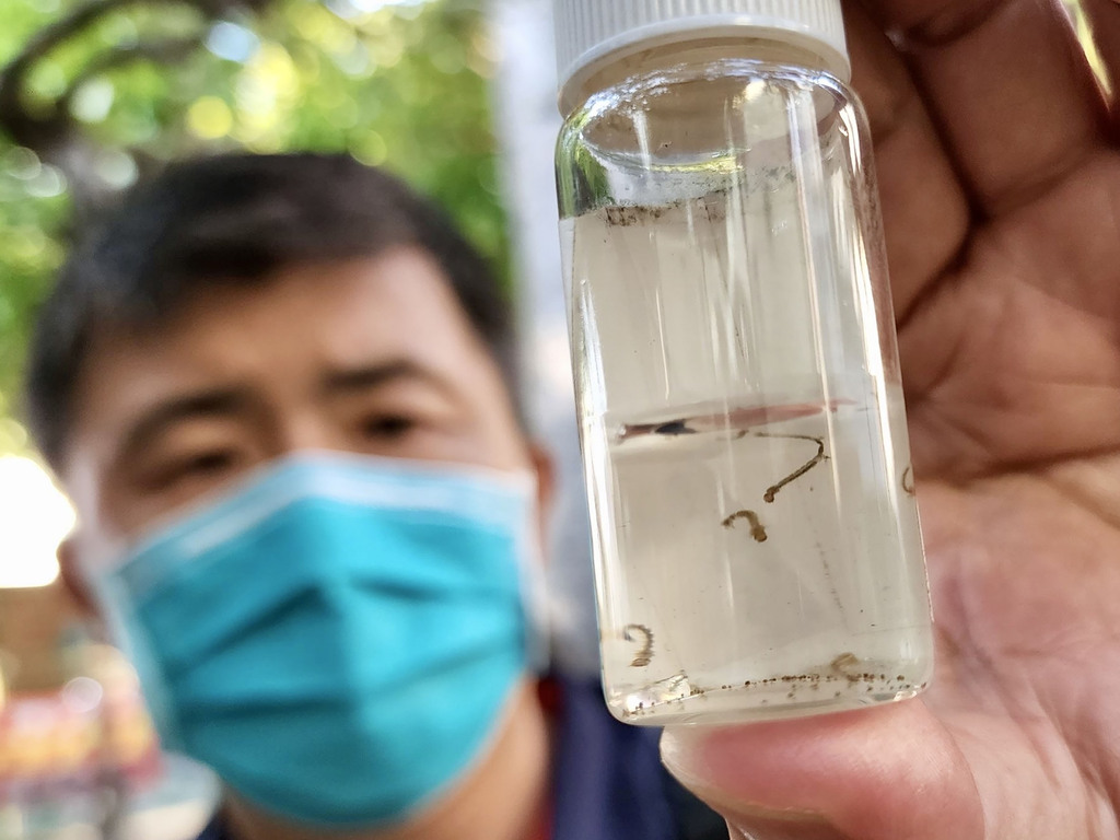 Pest control - Focus Taiwan