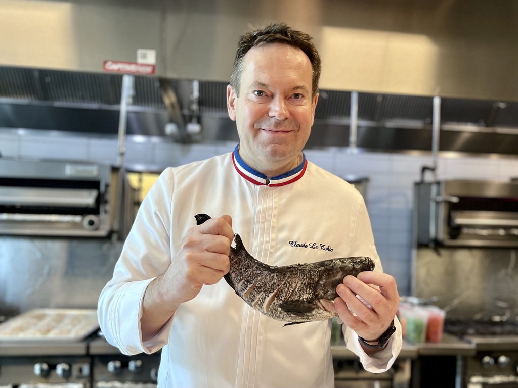 Gourmet Grouper - Focus Taiwan