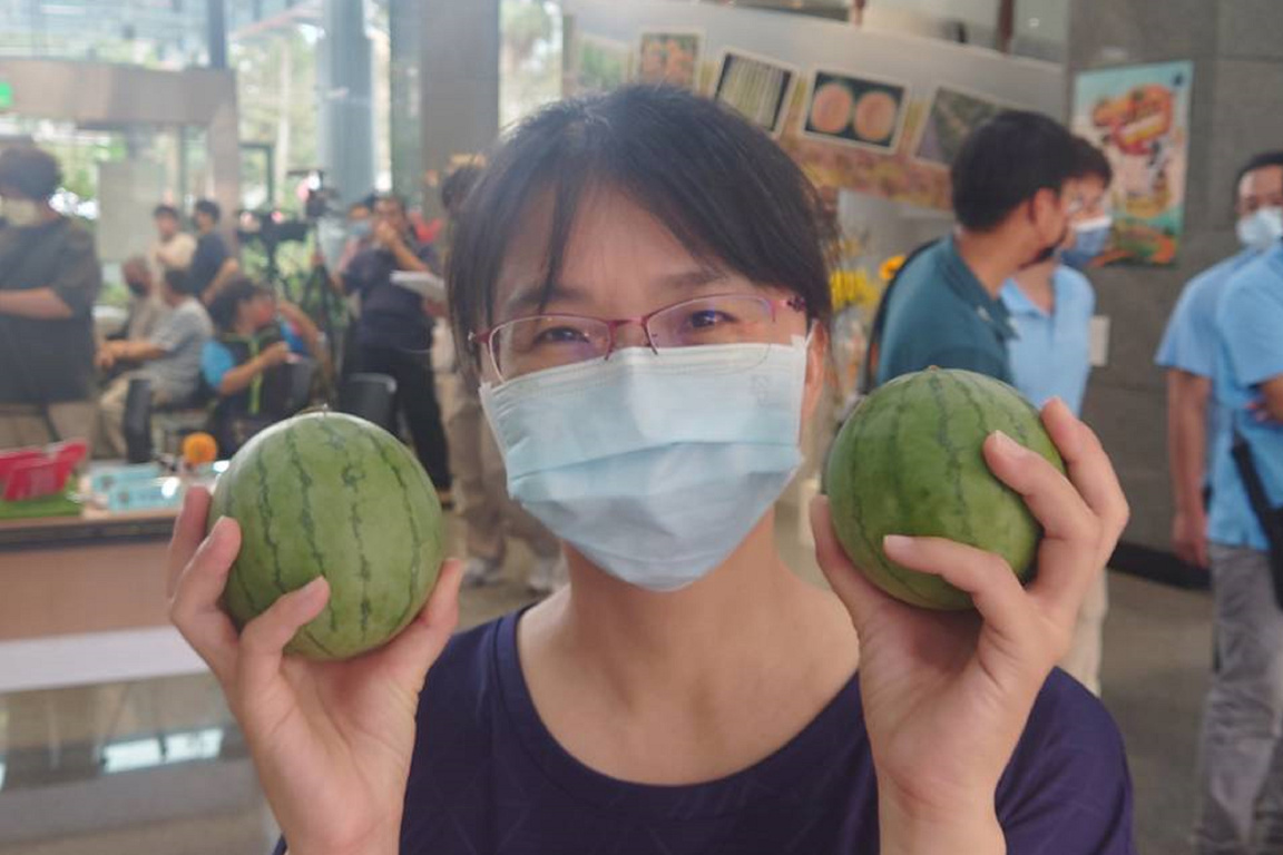 Mini watermelons - Focus Taiwan