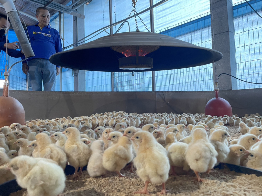 Cold snap preparation - Focus Taiwan