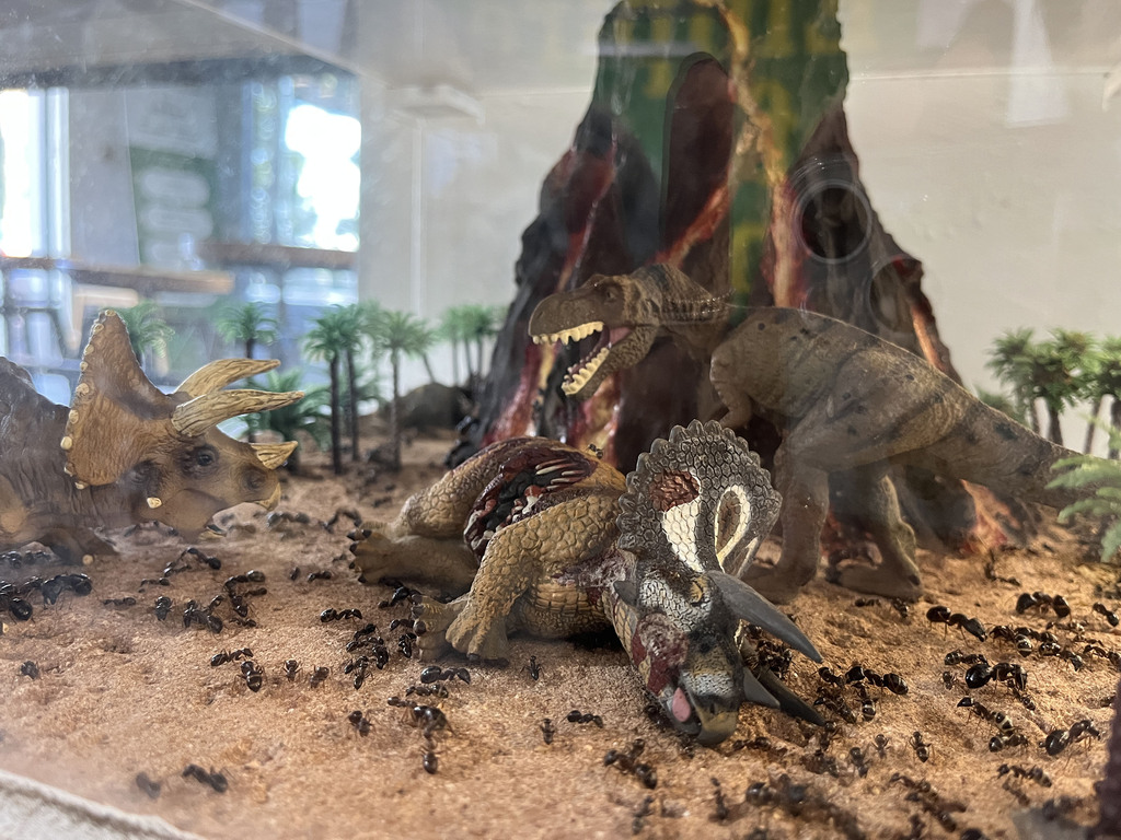 Antz 3 - Focus Taiwan