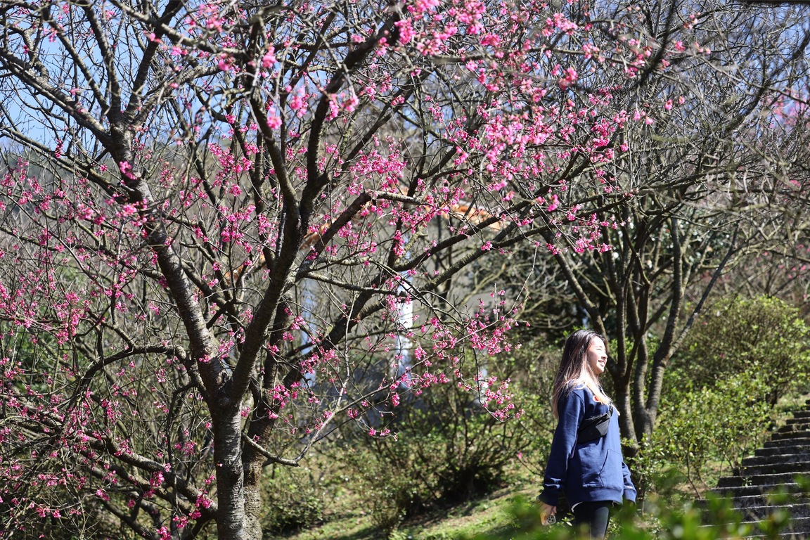 The song of spring - Focus Taiwan