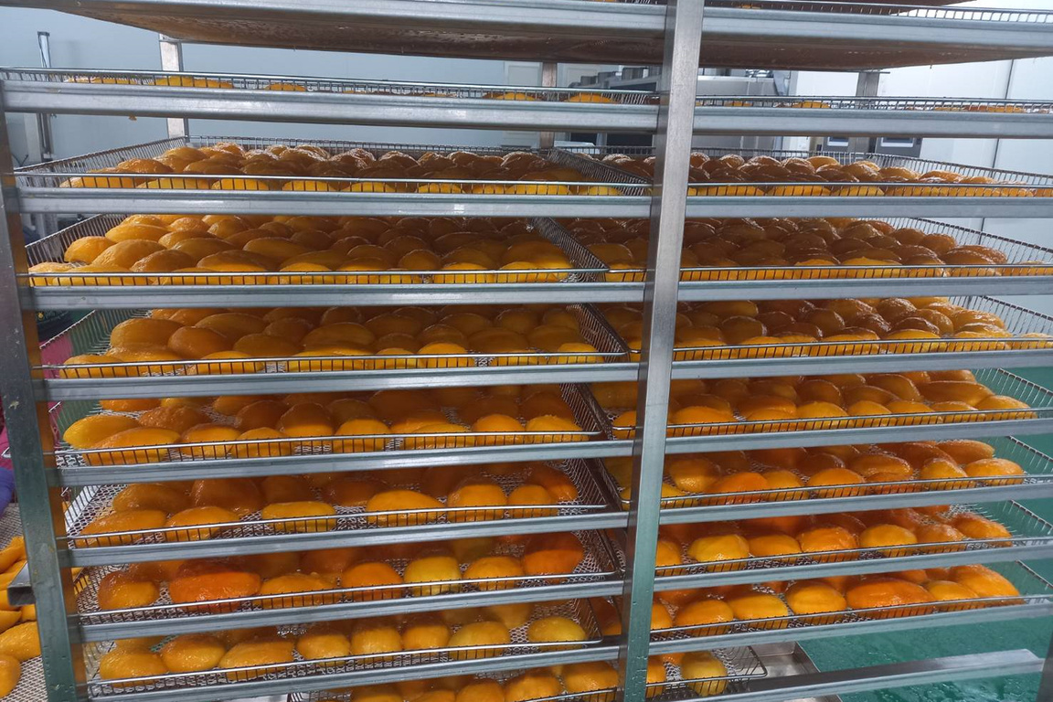 Drying mango process - Focus Taiwan