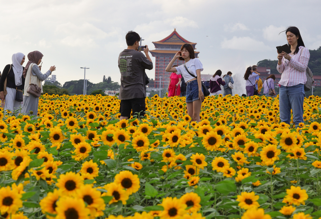 Seasons in the sun - Focus Taiwan