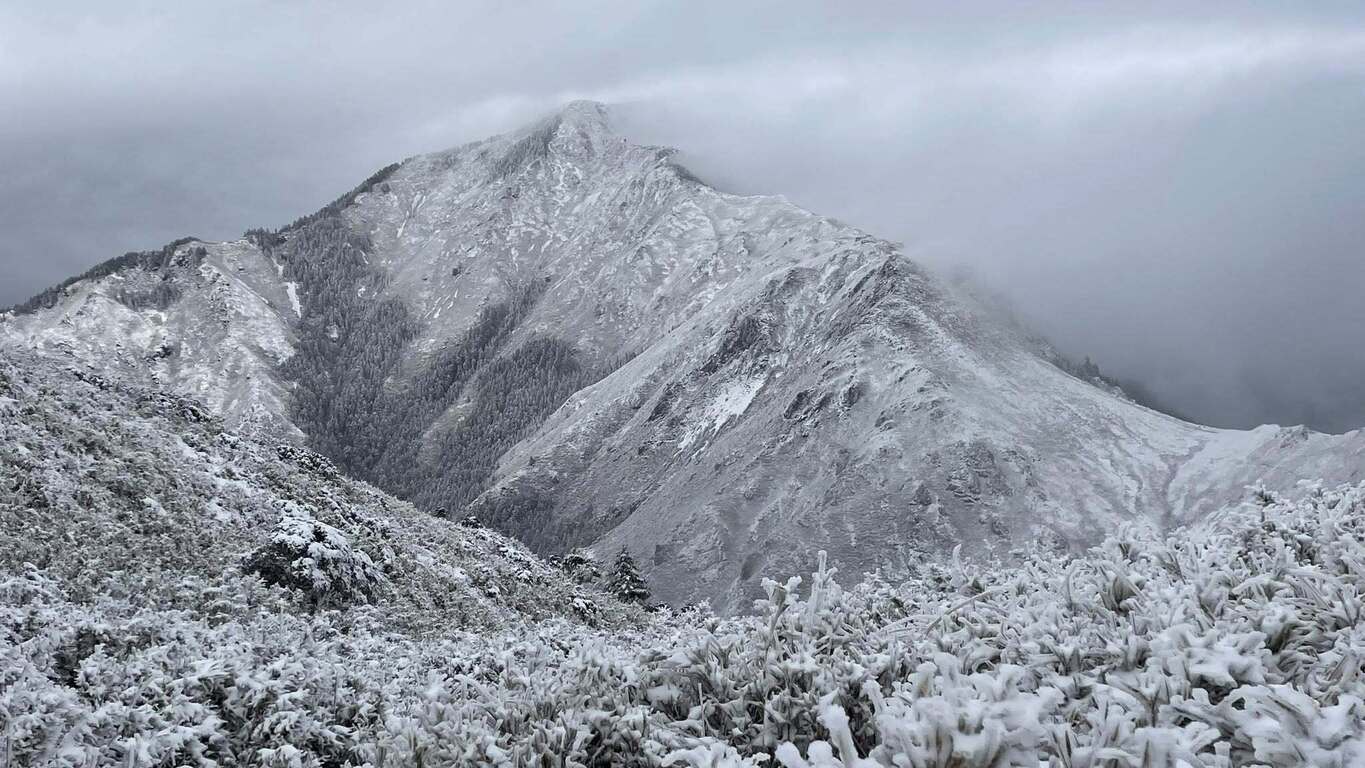 Snow white - Focus Taiwan