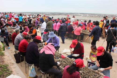 Kinmen holds oyster shucking contest, 1,000 fans happy as clams - Focus ...