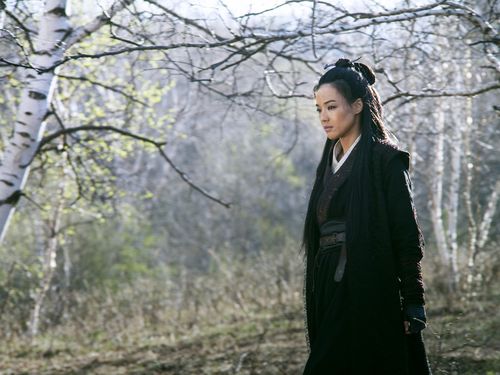 'The Assassin' tops Asian Film Award nominations - Focus Taiwan