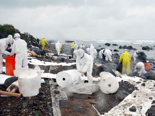 Taiwan in race against time to prevent marine ecological disaster ...