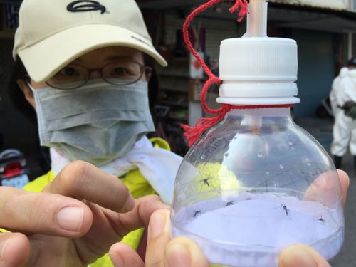 Research center for mosquito-borne diseases to open April 22 - Focus Taiwan