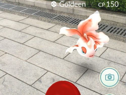 Pokemon Go creatures appear in Kinmen - Focus Taiwan