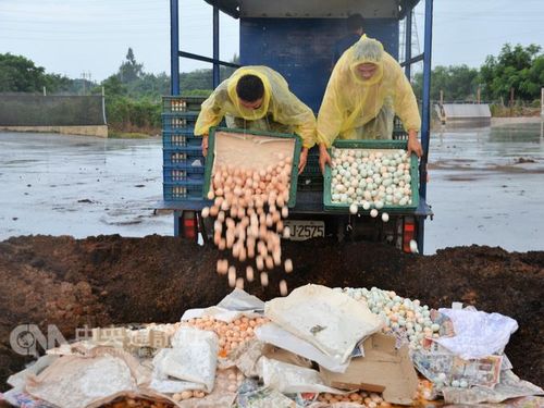 Suppliers of insecticide released on bail in egg contamination case ...