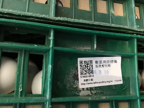 Taipei wholesaler found to be selling insecticide-tainted eggs - Focus ...