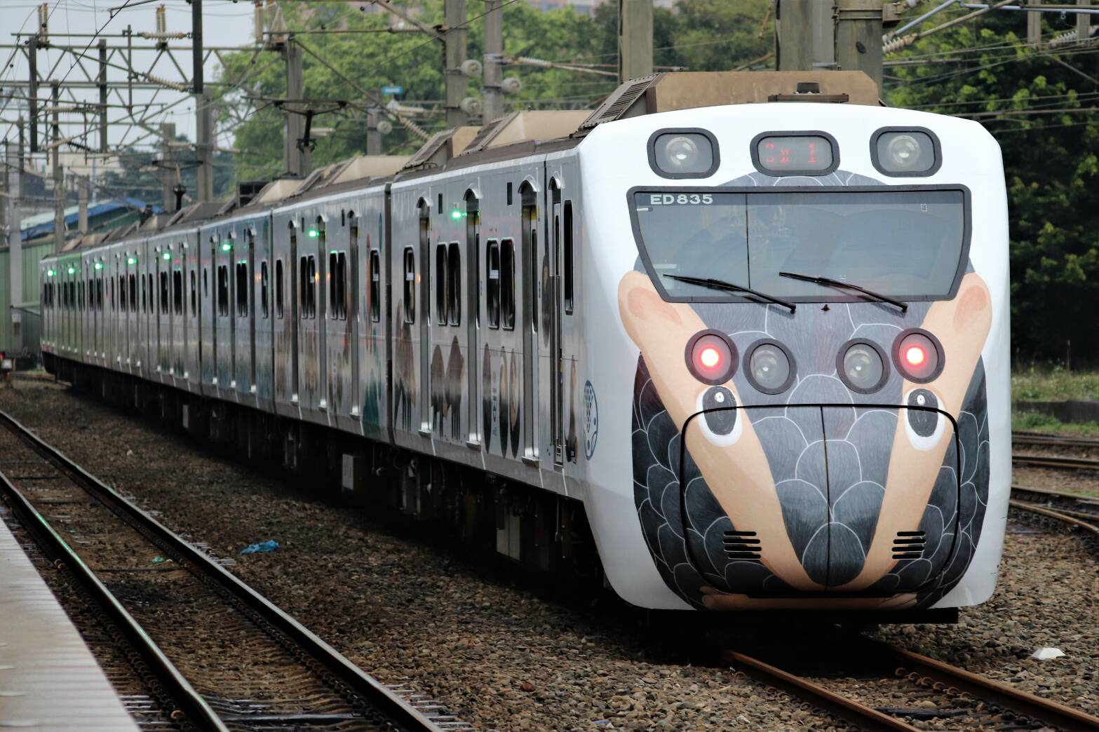 TRA introduces commuter train with 'satoyama' animal livery - Focus Taiwan