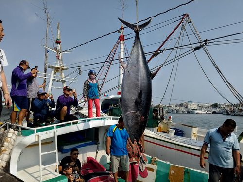 Taiwan to no longer employ North Korean fishing crews: MOFA - Focus Taiwan