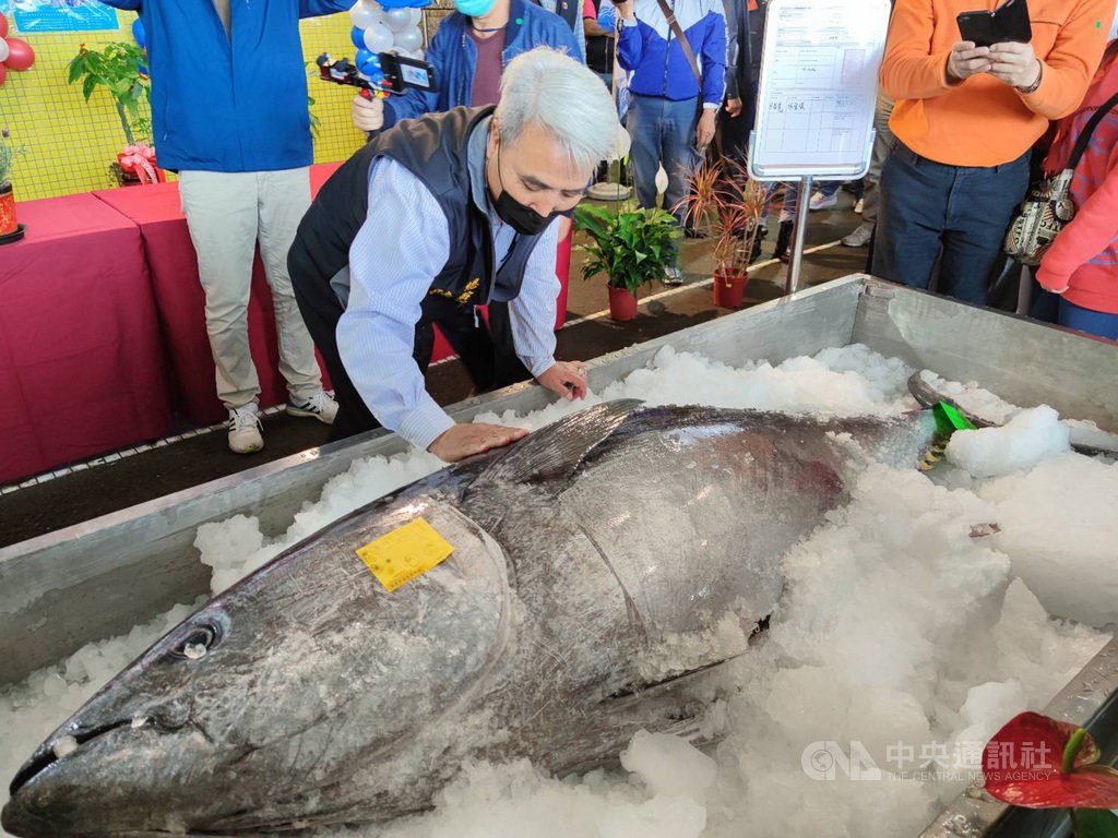 Yilan bluefin tuna sells for historic high of NT$10,000 per kilogram ...