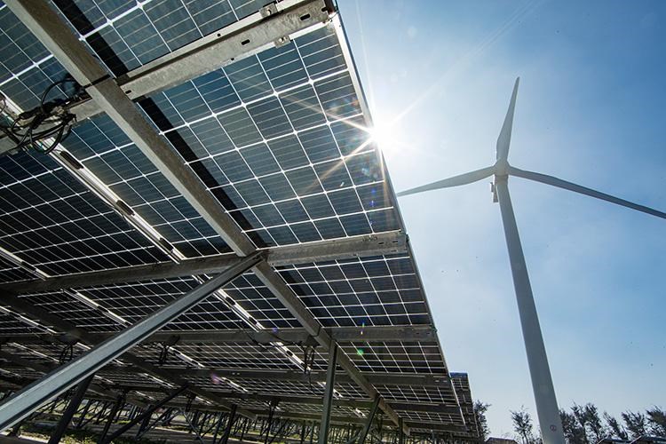 Solar panel fish farm to begin generating electricity in 2021 - Focus ...