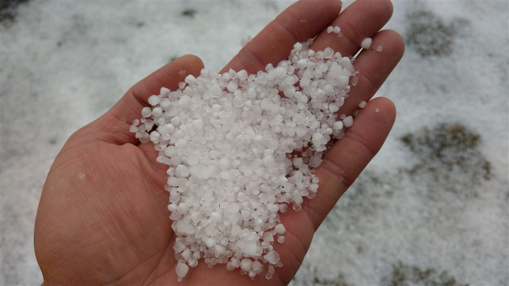 Snow grains, snow pellets usher in spring in Taiwan - Focus Taiwan