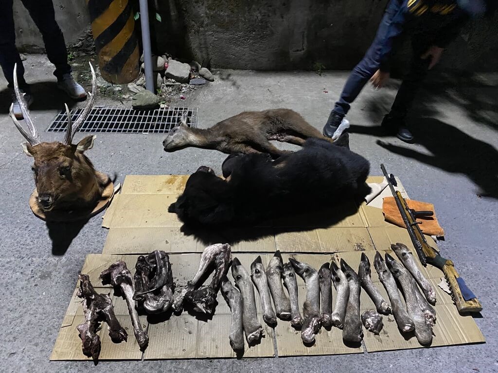 9 suspects indicted for poaching Formosan black bears - Focus Taiwan