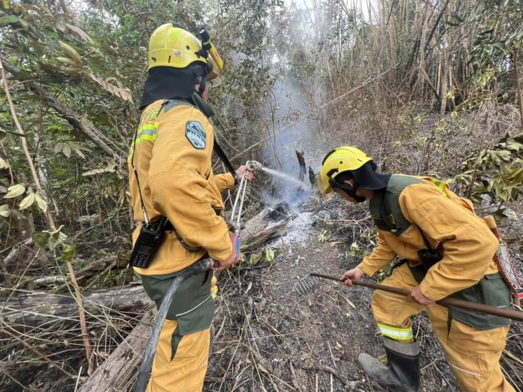 Forest fire in Kaohsiung extinguished after 5 days - Focus Taiwan