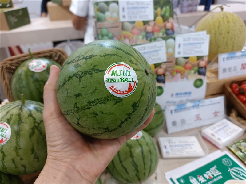 Taipei International Food Show features softball-sized watermelons ...