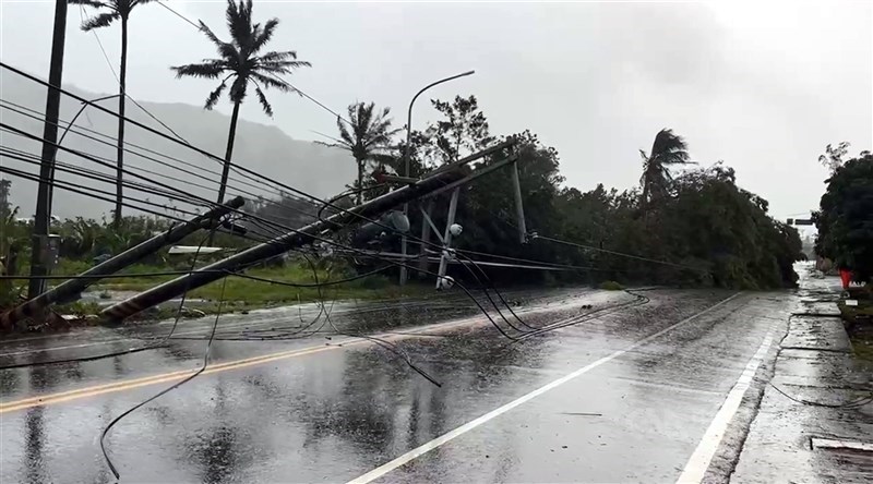 35,000 still without power after Typhoon Haikui topples trees, utility ...