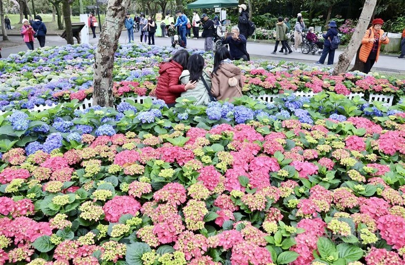 Floral attractions a big draw in Taipei throughout March - Focus Taiwan