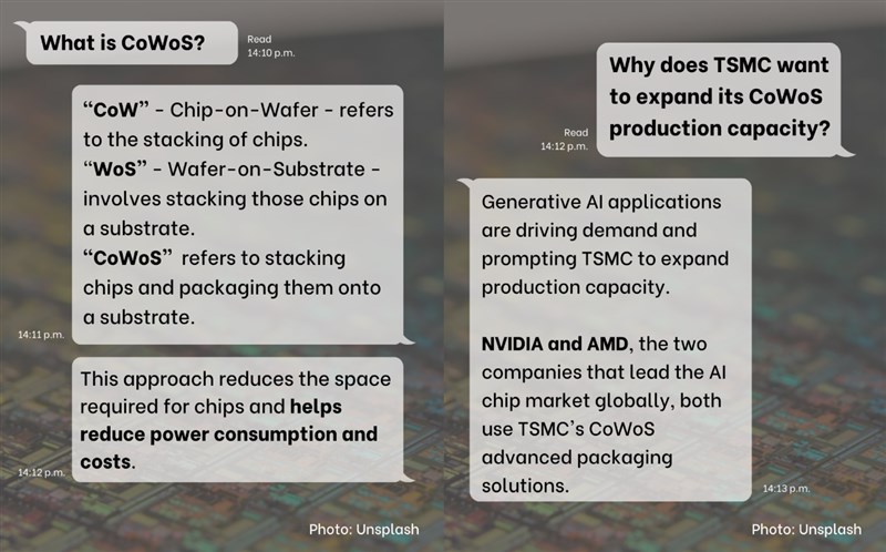 Delving into TSMC's planned CoWoS packaging plants in Chiayi - Focus Taiwan