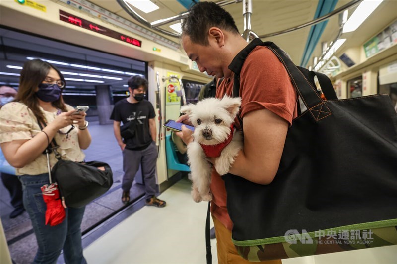 Dogs and cats ride the Taipei Metro during special pet day - Focus Taiwan