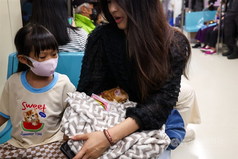 Dogs and cats ride the Taipei Metro during special pet day - Focus Taiwan