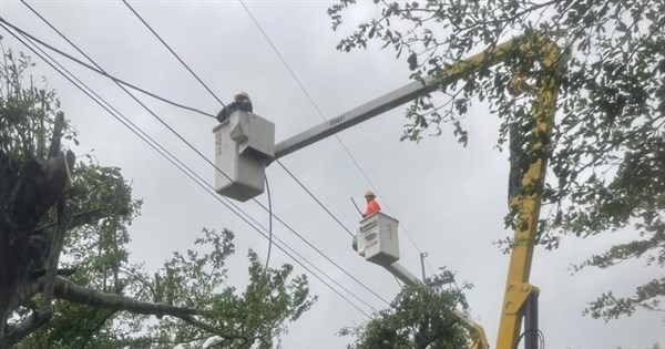 35,000 still without power after Typhoon Haikui topples trees, utility ...