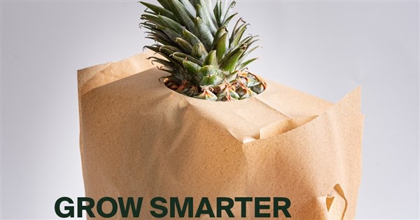 Taichung biodegradable mulch film wins iF Product Design Award - Focus ...