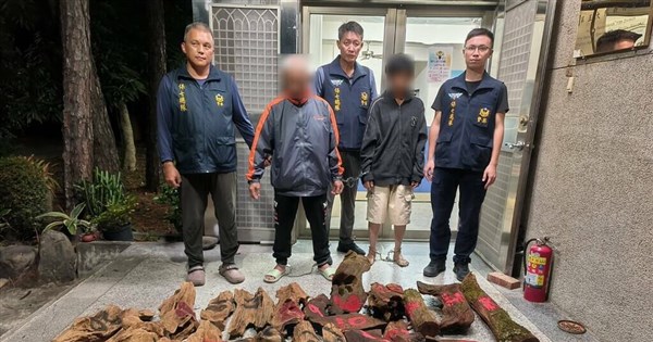 Illegal loggers arrested in Taoyuan after earlier police mix-up - Focus ...