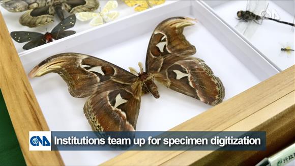 Institutions team up for specimen digitization - Focus Taiwan