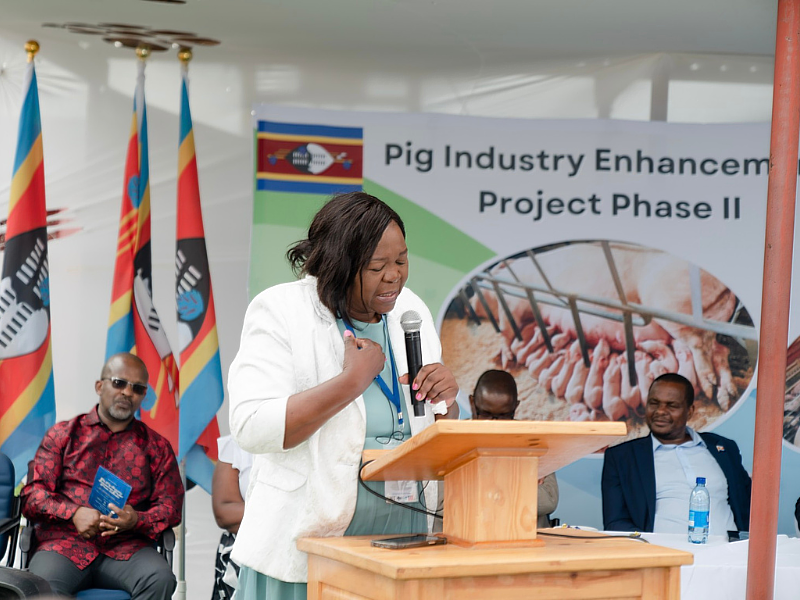 Mpisi核心種豬場正式啟用：國合會攜手史瓦帝尼養豬產業邁入新時代 | 蕃新聞