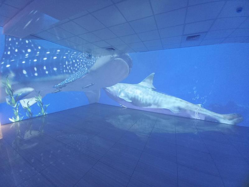 虛擬海洋沈浸體驗巡迴展『OCEANBOX』登場 | 樂活情報 - 好生活 | 中央社 CNA